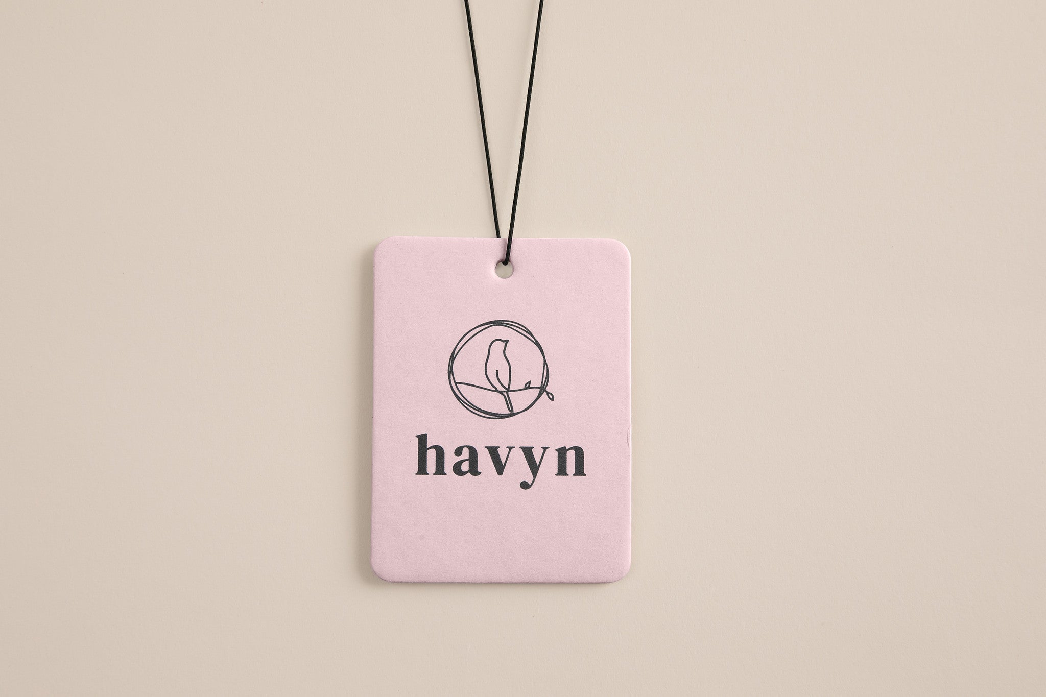 havyn™ Hanging Air Freshener – Havyn Co.